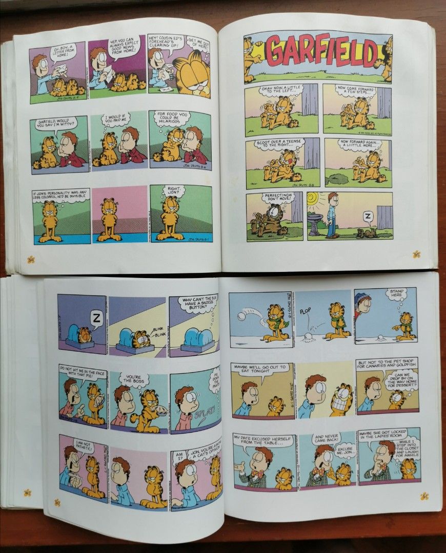 Garfield Comics Book from Big Bad Wolf, Hobbies & Toys, Books ...