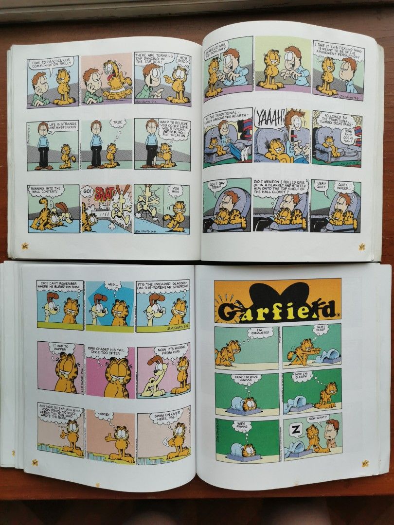 Garfield Comics Book from Big Bad Wolf, Hobbies & Toys, Books ...