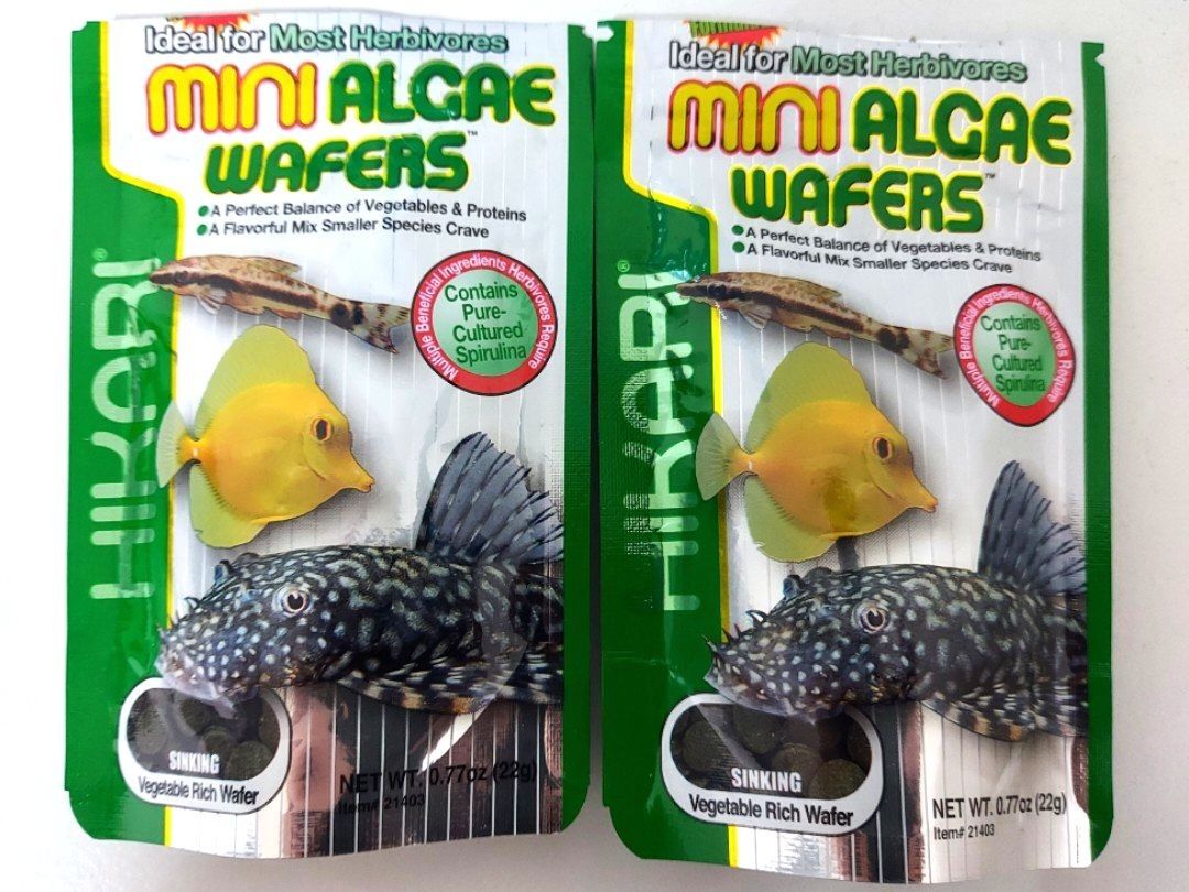 HIKARI MINI ALGAE WAFERS, Pet Supplies, Pet Food on Carousell