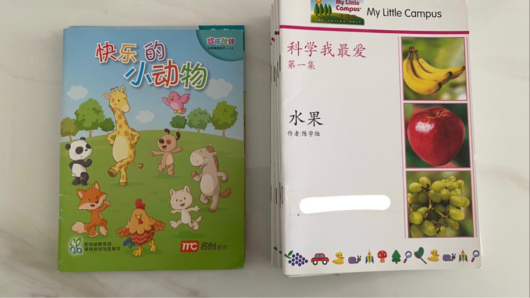 KINDERGARTEN/ P1 HIGHER CHINESE/CHINESE reading books, Hobbies & Toys ...