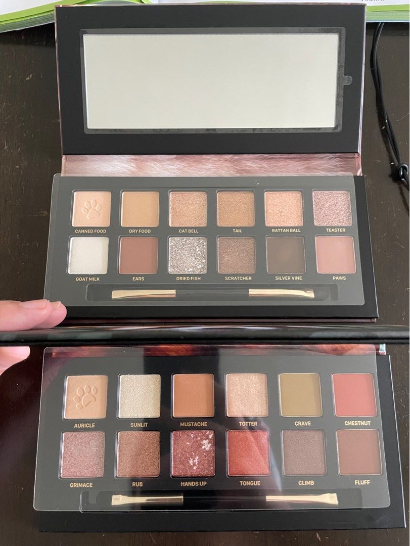 perfect diary explorer eyeshadow palettes, Beauty & Personal Care, Face ...