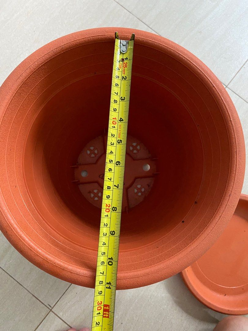 Plant pot, Furniture & Home Living, Gardening, Pots & Planters on Carousell