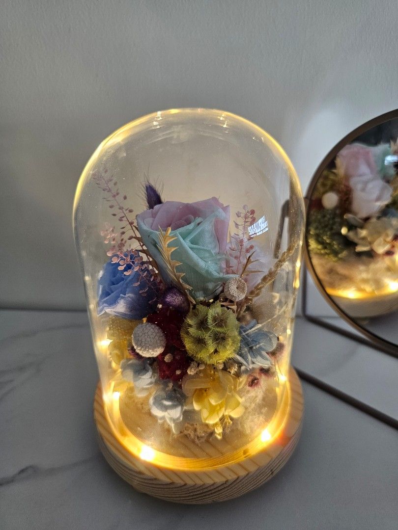 Preserved Flowers Glass Dome With LED, Hobbies & Toys, Stationery ...