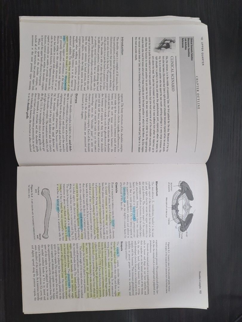 PT Book: Brunnstrom's Clinical Kinesiology 6th Edition, Hobbies & Toys ...