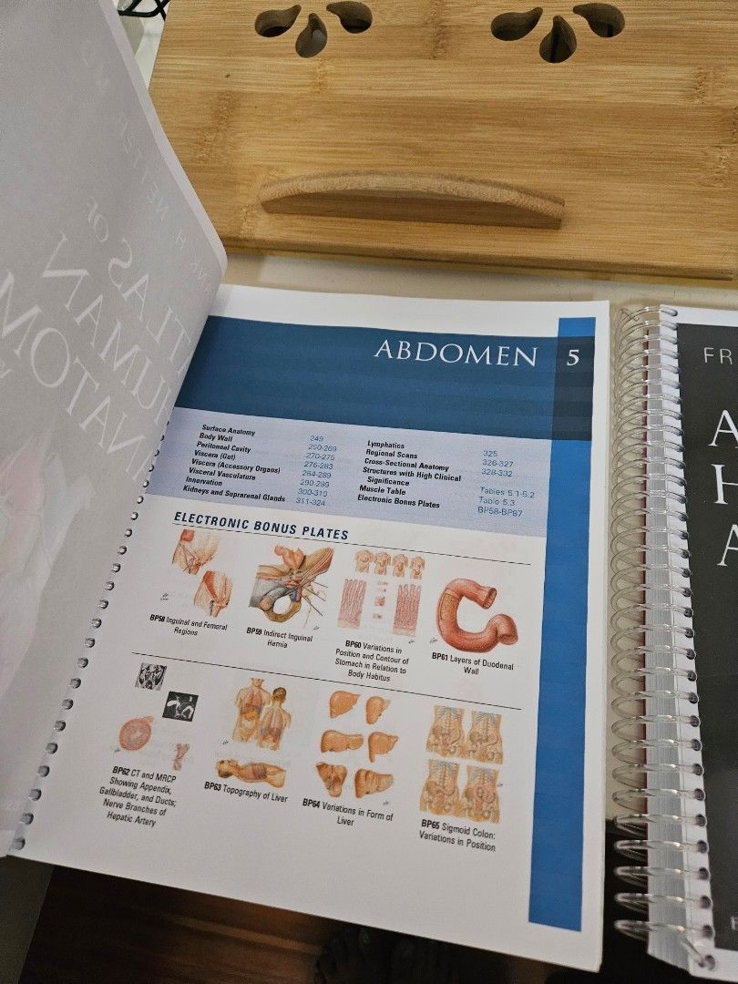 Reprinted copy of Netter's Anatomy, Hobbies & Toys, Books & Magazines ...