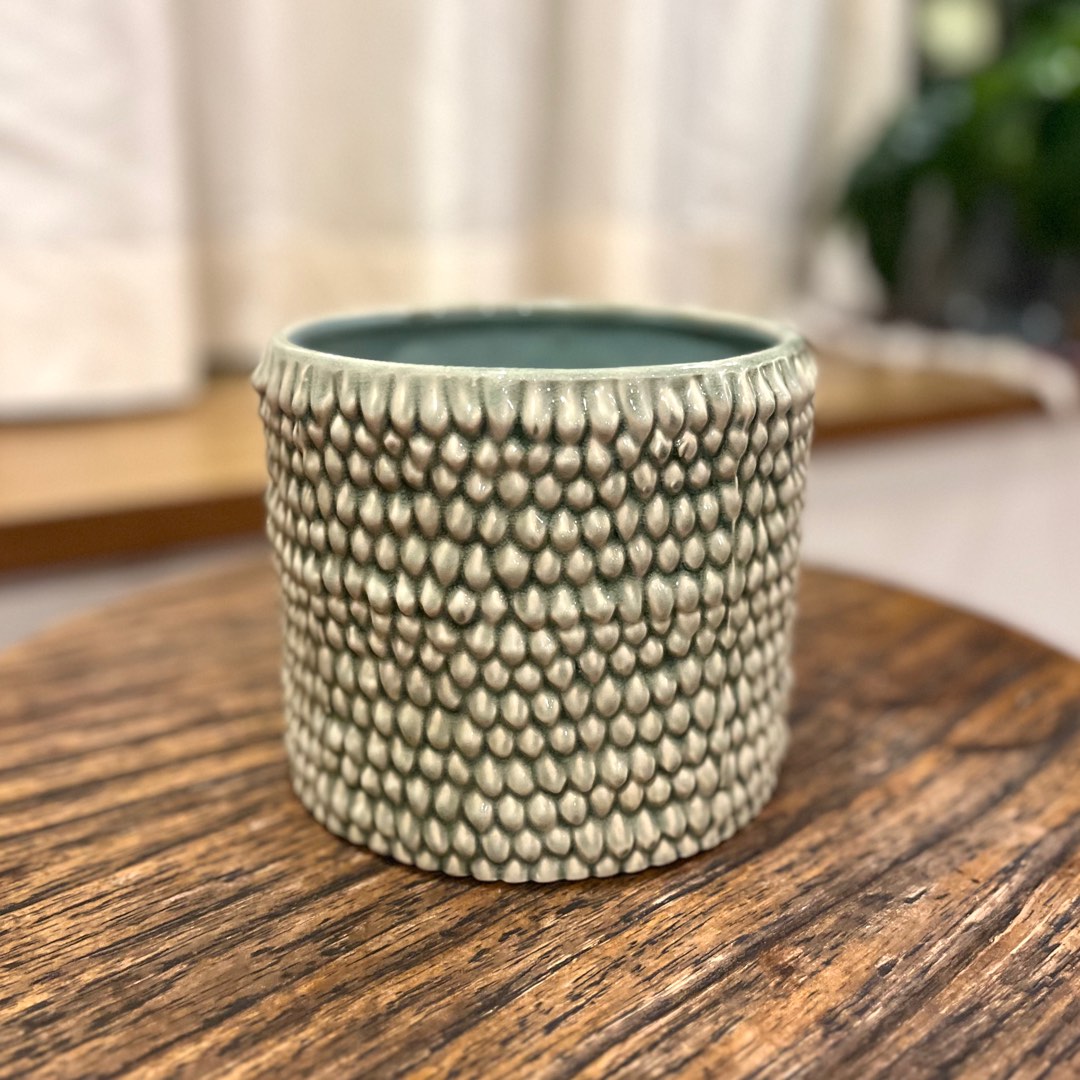 Sage Green Ceramic Pot 15cm, Furniture & Home Living, Gardening, Pots ...