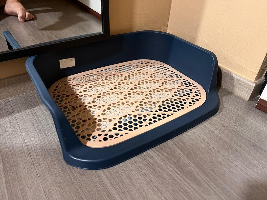 Small Pee tray pan, Pet Supplies, Homes & Other Pet Accessories on ...