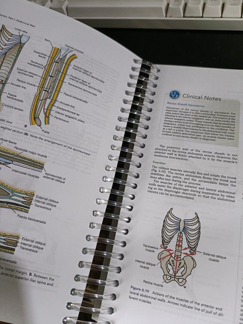 SNELL'S CLINICAL ANATOMY BY REGIONS (REPRINT), Hobbies & Toys, Books ...