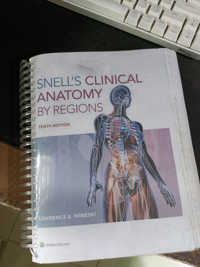 SNELL'S CLINICAL ANATOMY BY REGIONS (REPRINT), Hobbies & Toys, Books ...