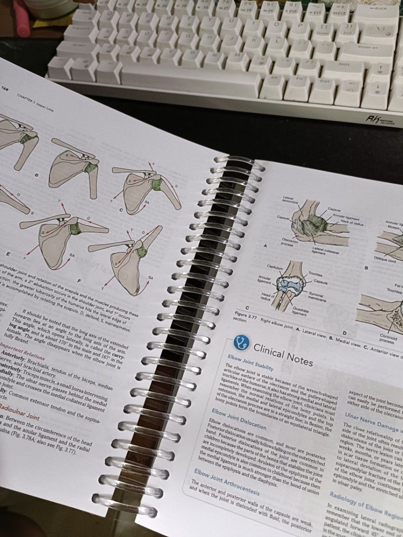 SNELL'S CLINICAL ANATOMY BY REGIONS (REPRINT), Hobbies & Toys, Books ...