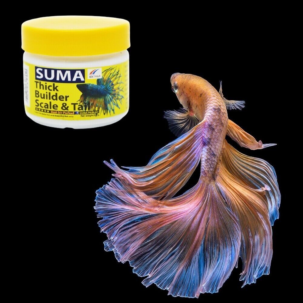 SUMA - Fish Food Pellet Thick Builder Scale and Tail | Fish Pellet for ...