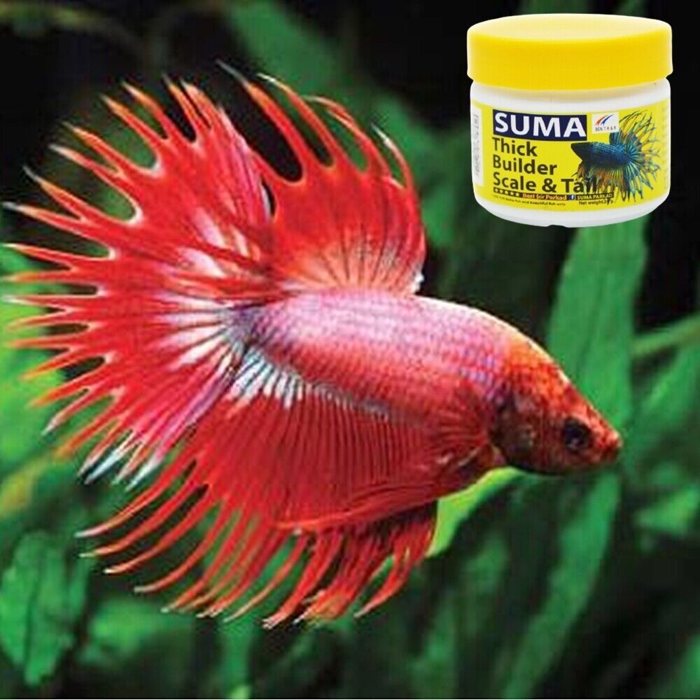 SUMA - Fish Food Pellet Thick Builder Scale and Tail | Fish Pellet for ...