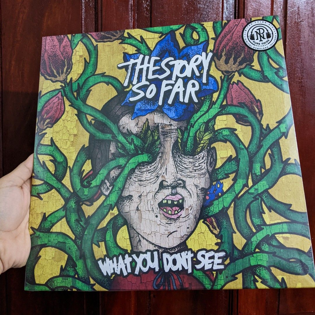 The Story So Far - What You Don't See LP (Limited Edition Colored Vinyl ...