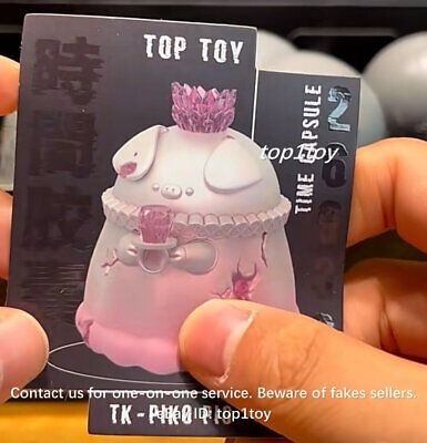TOPTOY Time Capsule Blind Box Piko Pig, Hobbies & Toys, Toys & Games on ...