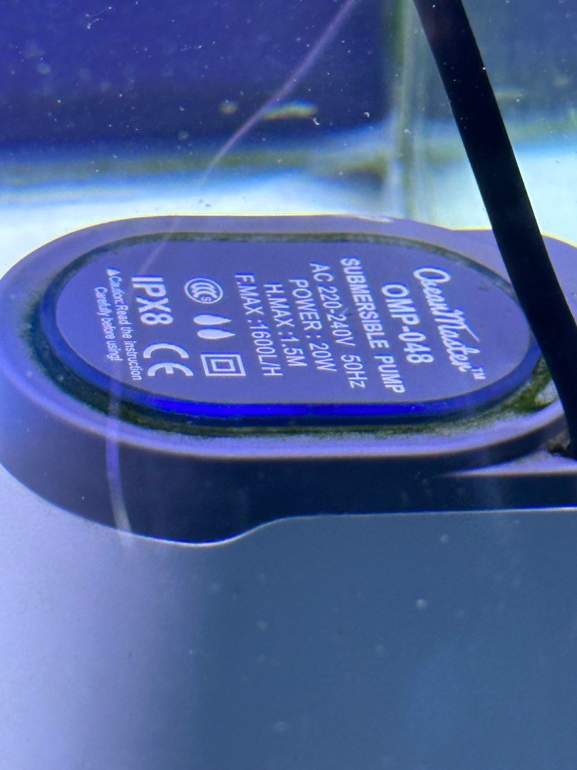 3ft fish tank(100cm x 35cm x 45cm), Pet Supplies, Homes & Other Pet ...