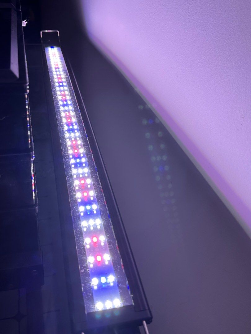 3ft fish tank(100cm x 35cm x 45cm), Pet Supplies, Homes & Other Pet ...