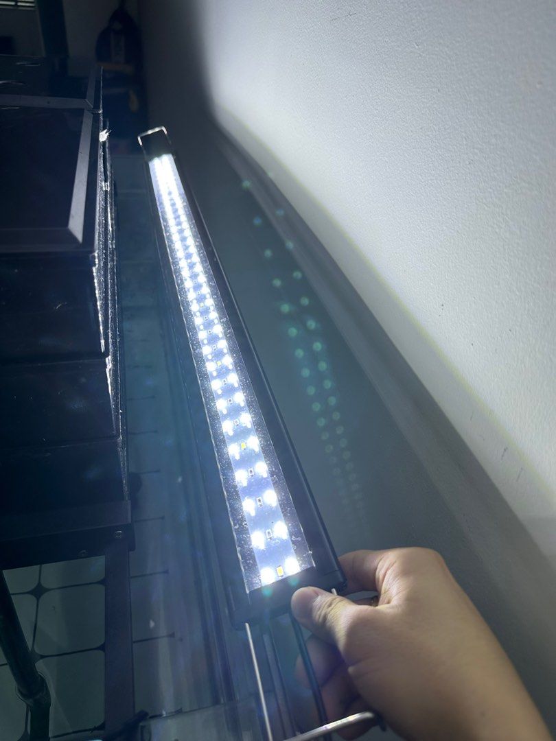 3ft fish tank(100cm x 35cm x 45cm), Pet Supplies, Homes & Other Pet ...