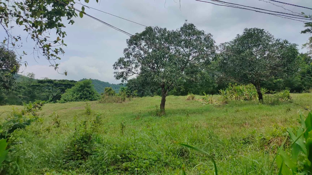 4,014sqm Farm Lot for sale in Baras, Rizal, Property, For Sale, Lot on ...