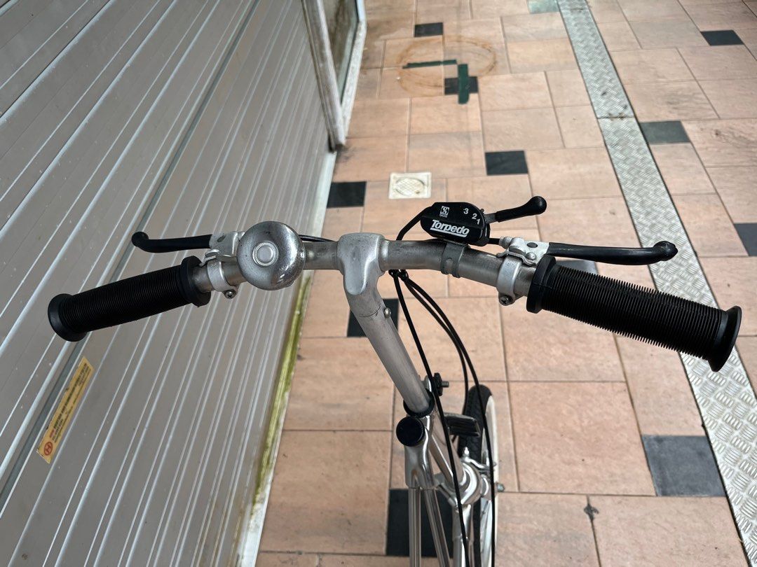 Dahon Classic Stainless Steel, Sports Equipment, Bicycles & Parts ...