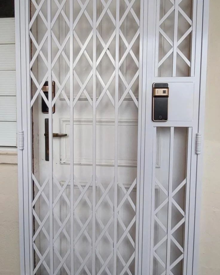 Epic 5G Door Digital Lock + Epic 6G Pro Dual Fingerprint Gate Digital ...