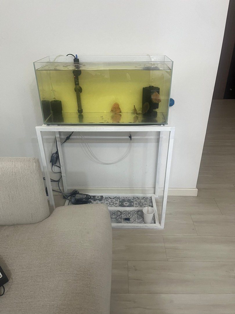 2FT Fish Tank with GEX Stand, Pet Supplies, Homes & Other Pet ...