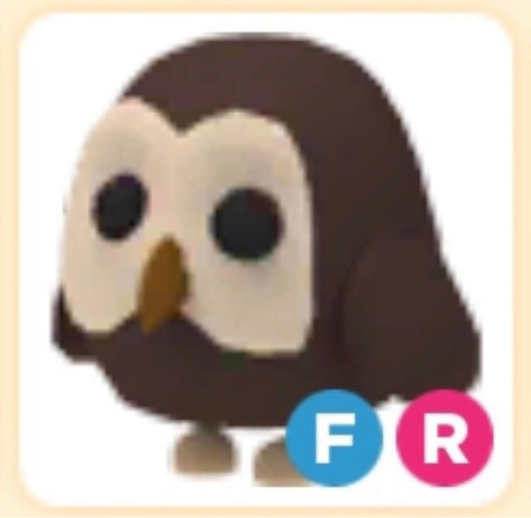 FR Owl Adopt Me Legendary, Video Gaming, Video Games, Others on Carousell