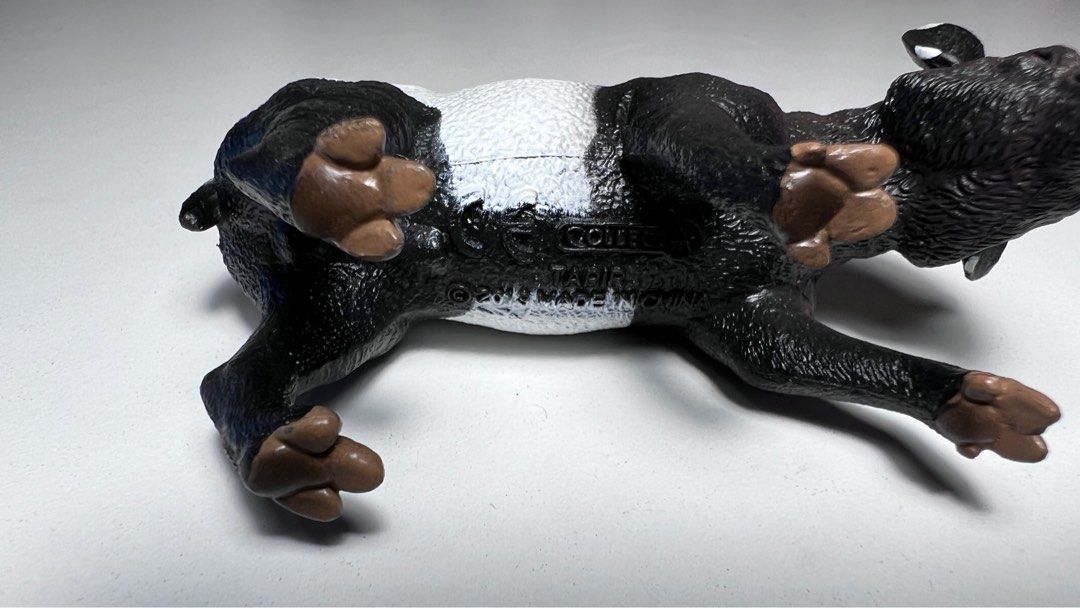 Free Delivery - CollectA Tapir, Hobbies & Toys, Toys & Games on Carousell