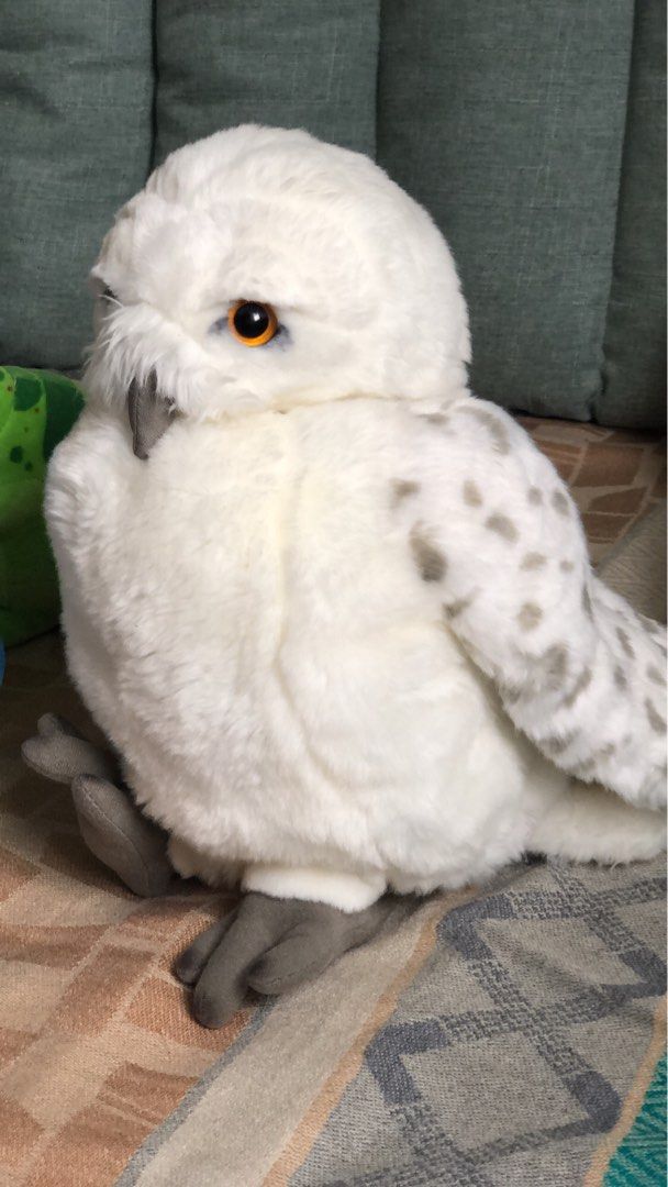 Harry Potter Hedwig Plush, Hobbies & Toys, Toys & Games on Carousell