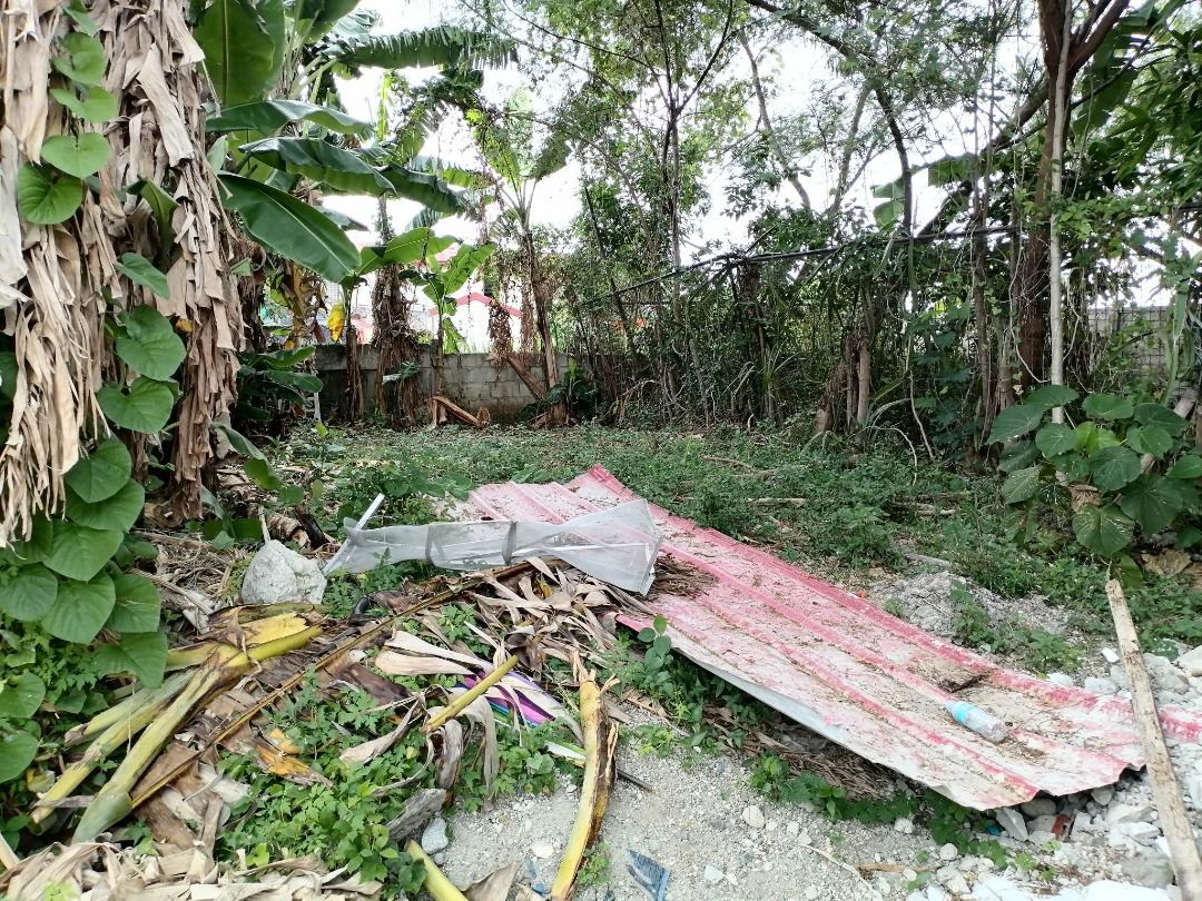 LOT FOR SALE B13 L13 TIERRA SOLANA, BEUNAVISTA III, GEN TRIAS CAVITE ...