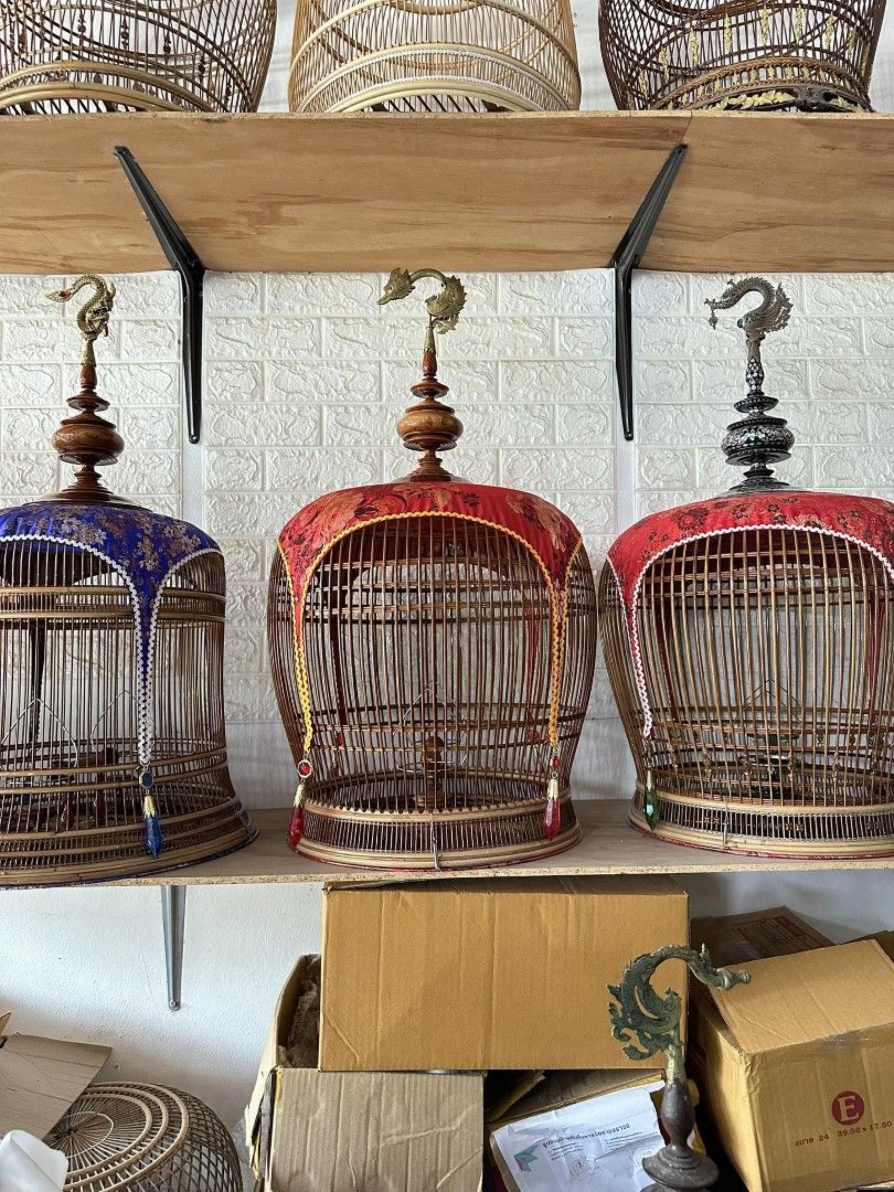 Merbok cage, Pet Supplies, Homes & Other Pet Accessories on Carousell