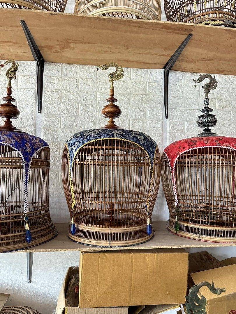 Merbok cage, Pet Supplies, Homes & Other Pet Accessories on Carousell