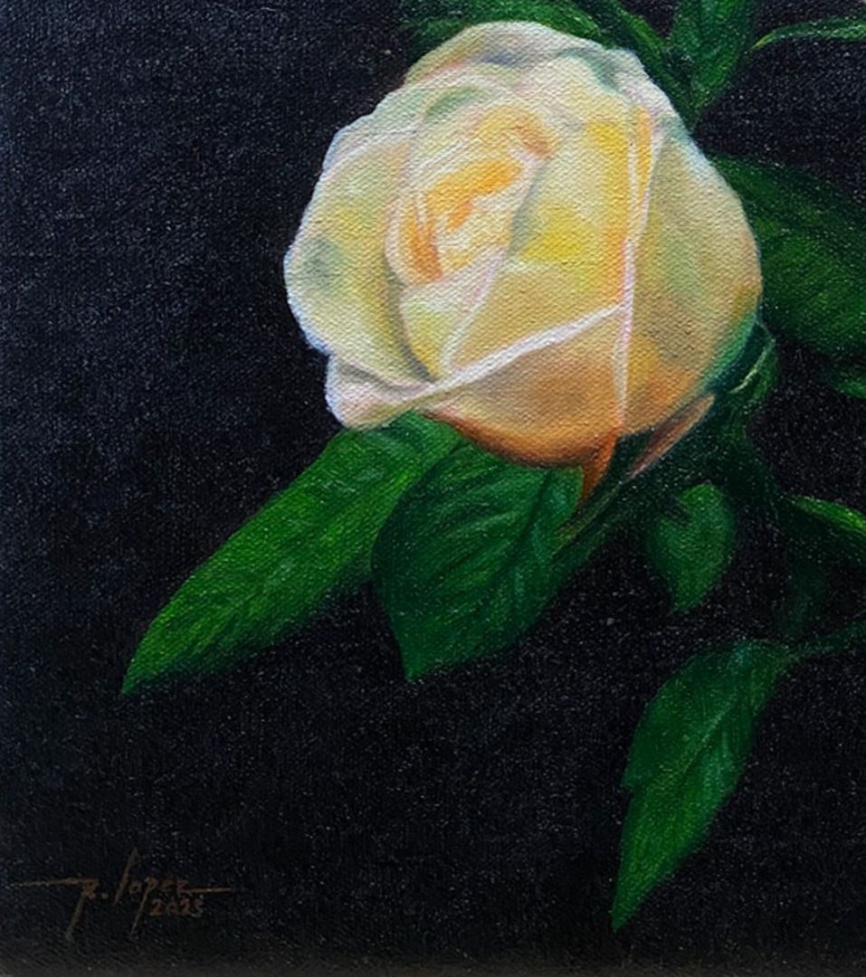 Mga Puting Rosas - Ronald Lopez, Hobbies & Toys, Stationary & Craft ...