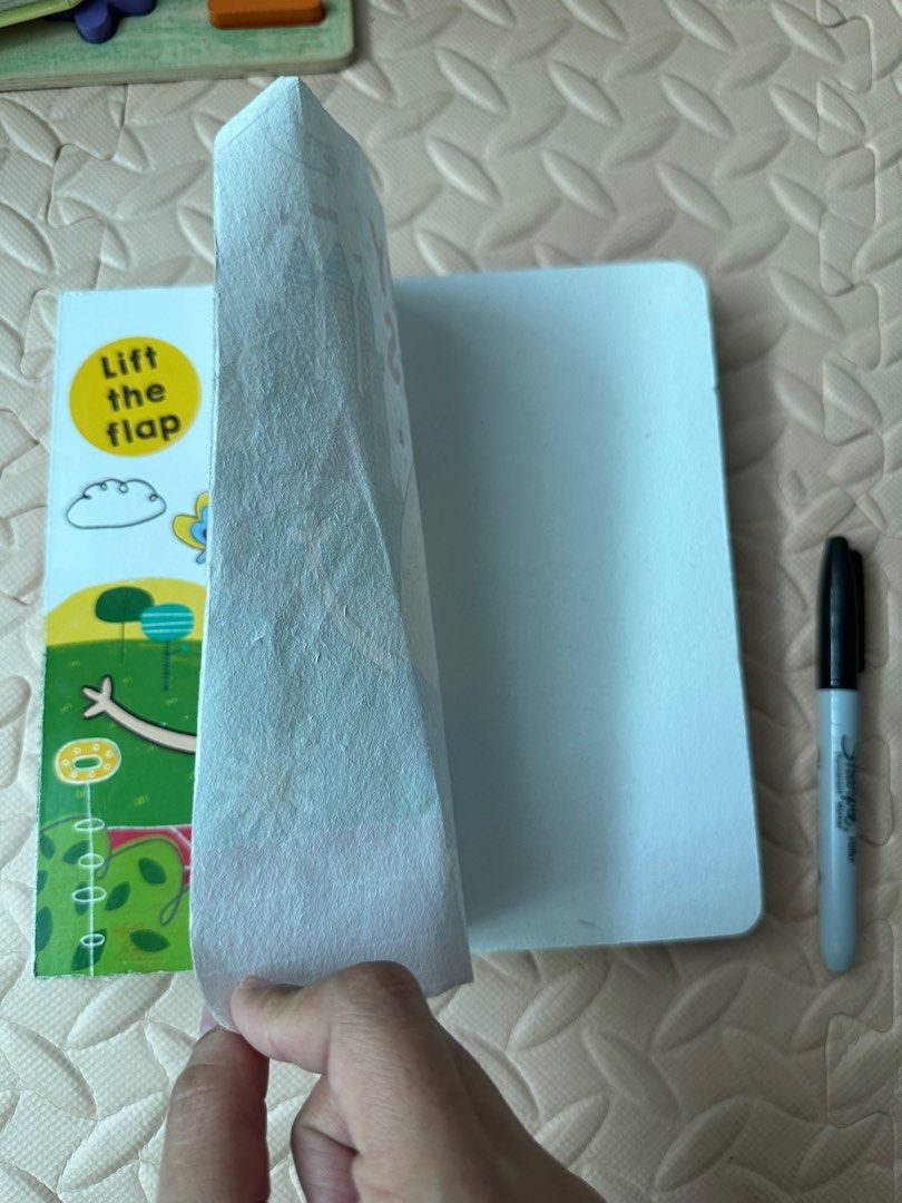 Nursery Rhymes (Lift-the-Flap), Hobbies & Toys, Books & Magazines ...