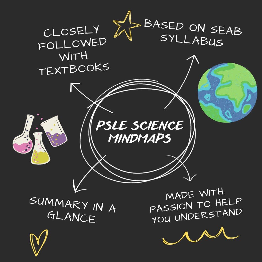 PSLE Science Mindmaps, Hobbies & Toys, Books & Magazines, Textbooks on ...