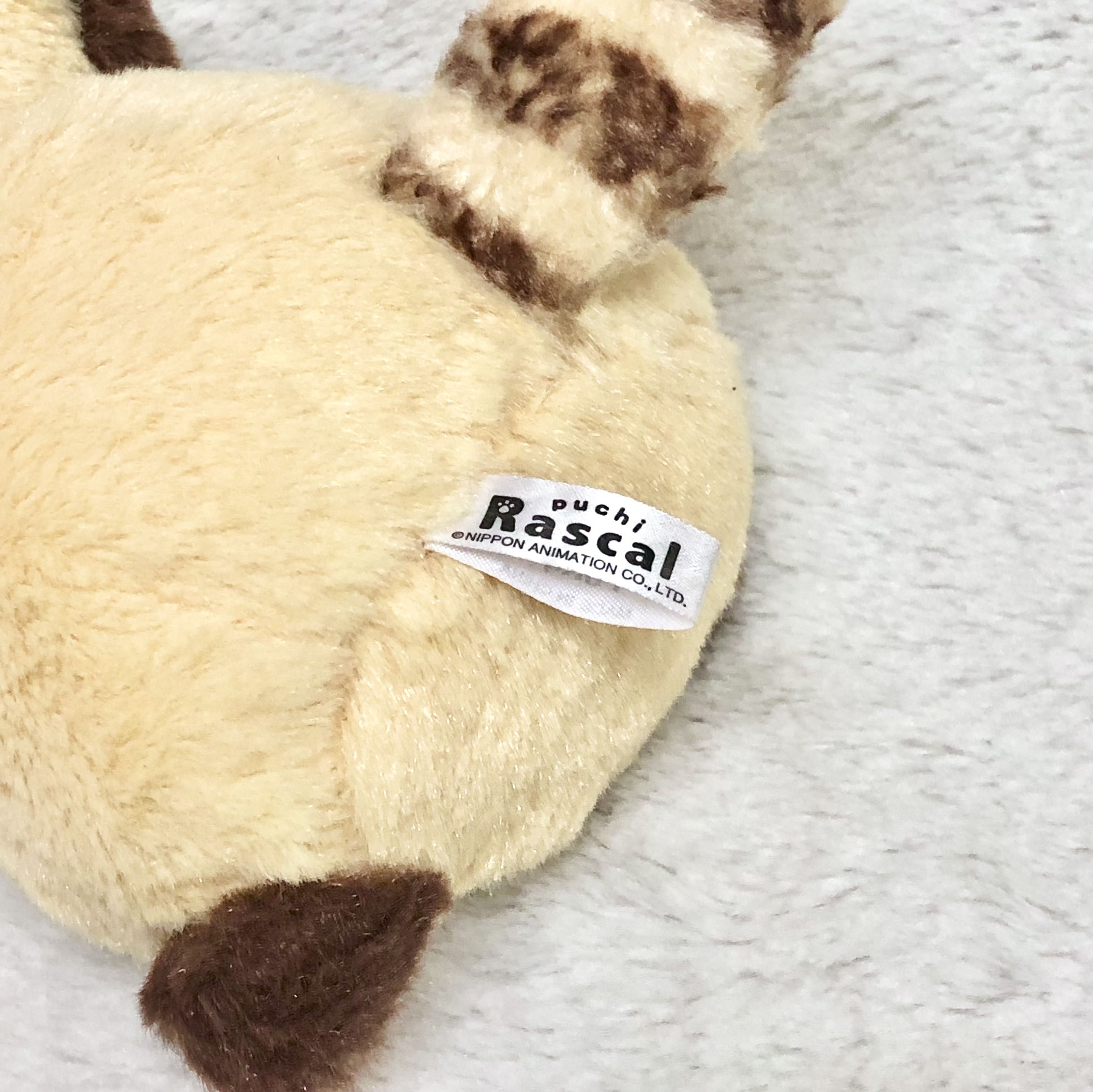 Puchi Rascal the Raccoon Charm Plush Stuffed Toy Japan, Hobbies & Toys ...