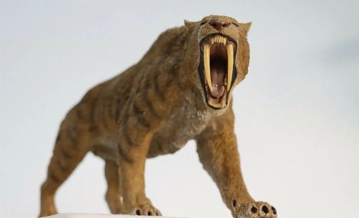 REBOR Smilodon Populator Deluxe Pack “Stray Cat” Plain Version, Hobbies ...