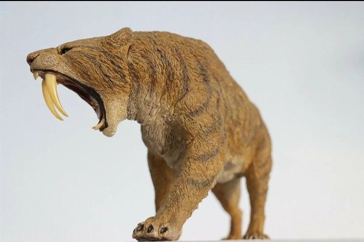 REBOR Smilodon Populator Deluxe Pack “Stray Cat” Plain Version, Hobbies ...