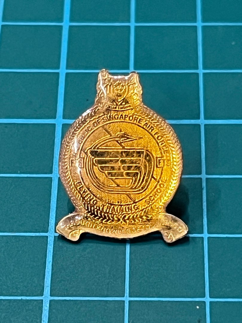 RSAF Flight Training School Lapel Pin, Hobbies & Toys, Memorabilia ...