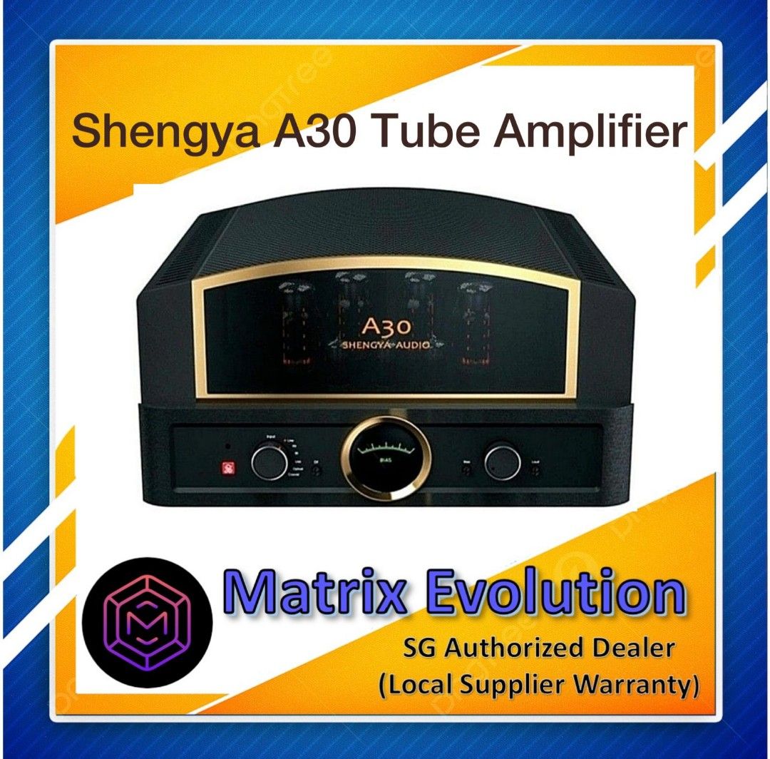 Shengya A30 Tube Amplifer (KT88 tubes) with dac (Support up to DSD512 ...