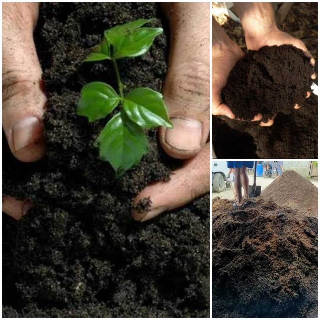 1000grams loam soil fertilizer for planting compose of vermi,natural ...