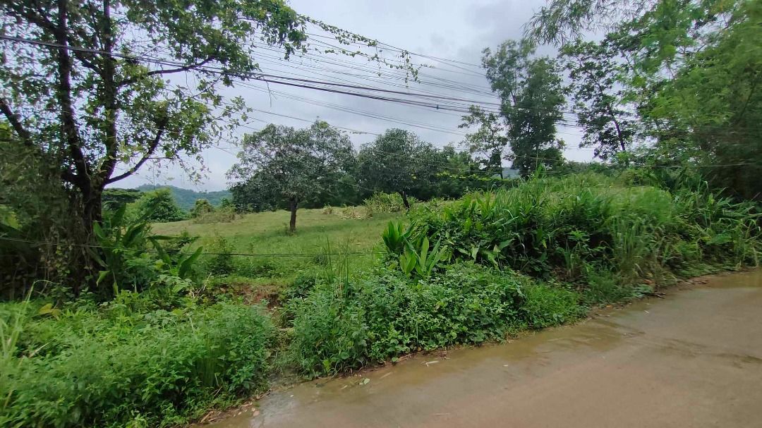 1.8 hectares Farm Land for sale in Baras, Rizal, Property, For Sale ...