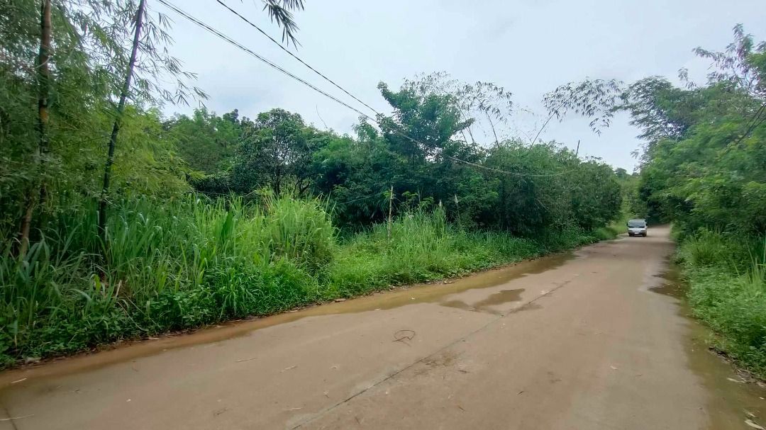 1.8 hectares Farm Land for sale in Baras, Rizal, Property, For Sale ...