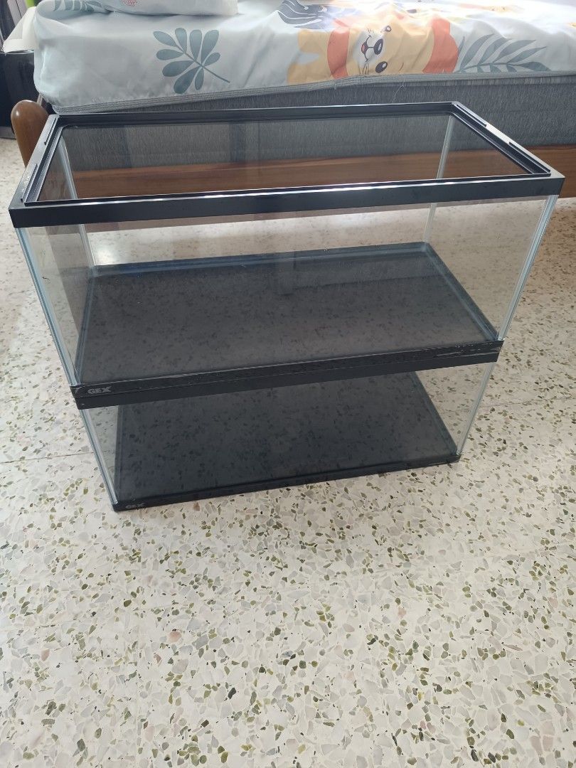 2 x 2ft GEX low profile tank, Pet Supplies, Homes & Other Pet ...