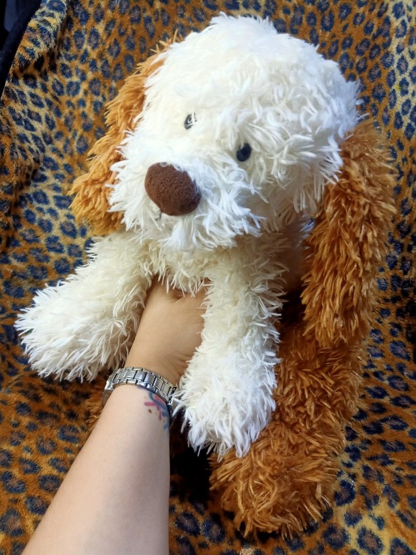 BIG SIZE GUND BRAND LABRADOODLE SHEEP DOG PLUSH, Hobbies & Toys, Toys ...