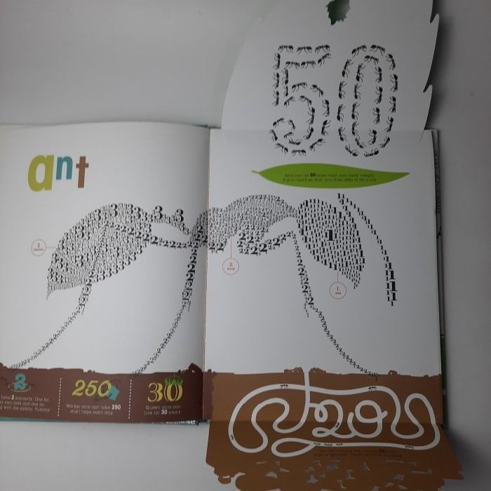 Buku Anak-Bugs by The Numbers-Pop Up Book Hard Cover, Buku & Alat Tulis ...