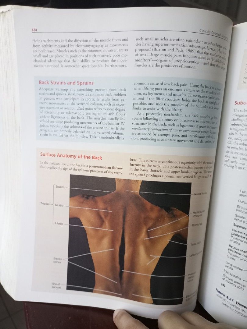 Clinically Oriented Anatomy, Hobbies & Toys, Books & Magazines, Textbooks on Carousell