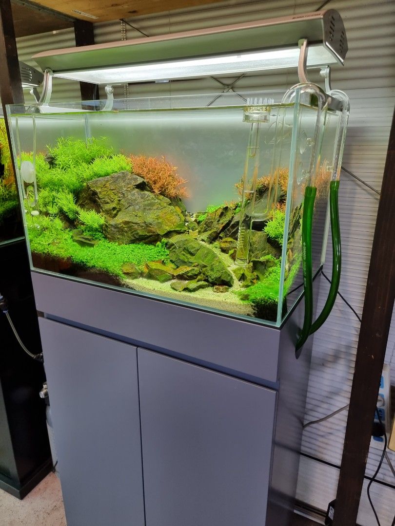 Crystal clear glass fish tank with solid wood cabinet (New), Pet Supplies, Homes & Other Pet ...