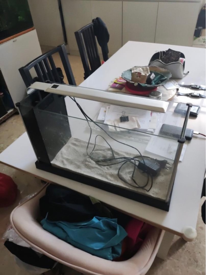 Fluval 19L fish tank with accessories, Pet Supplies, Homes & Other Pet ...