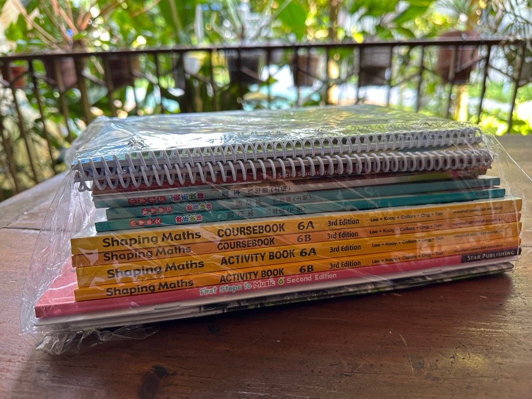 Full set of Primary 6 textbooks (with Standard Chinese), Hobbies & Toys ...