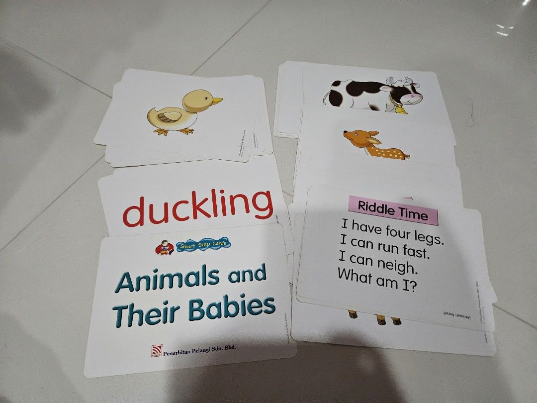 Kids flash cards - smart steps cards x 4 sets, Hobbies & Toys, Books ...